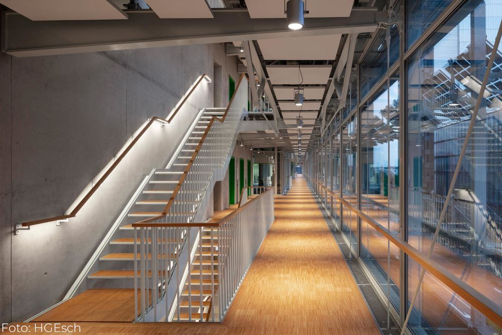 bauWiSE-Tragwerksplanung